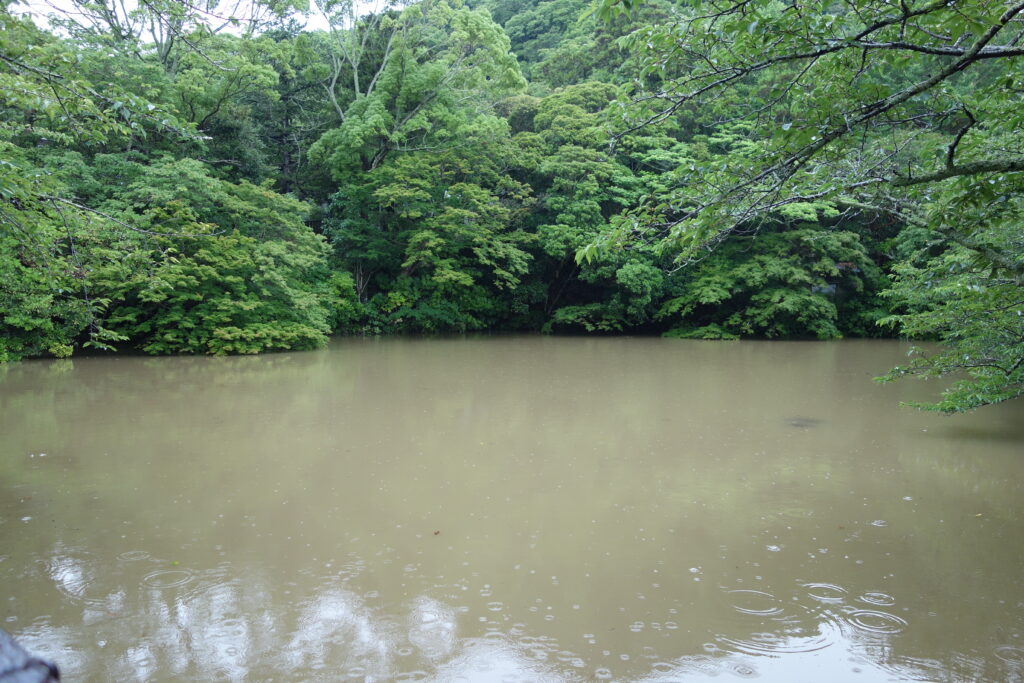 安房国一宮 安房神社（あわじんじゃ） | OLELOG