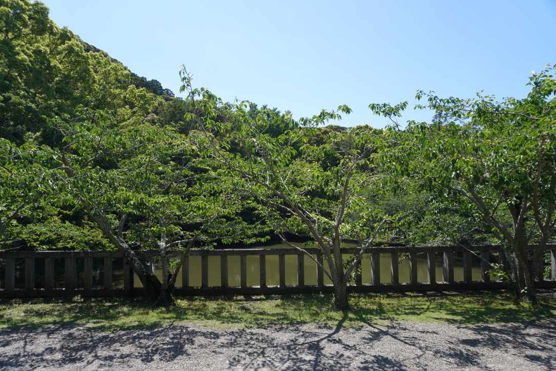 安房国一宮 安房神社（あわじんじゃ） | OLELOG