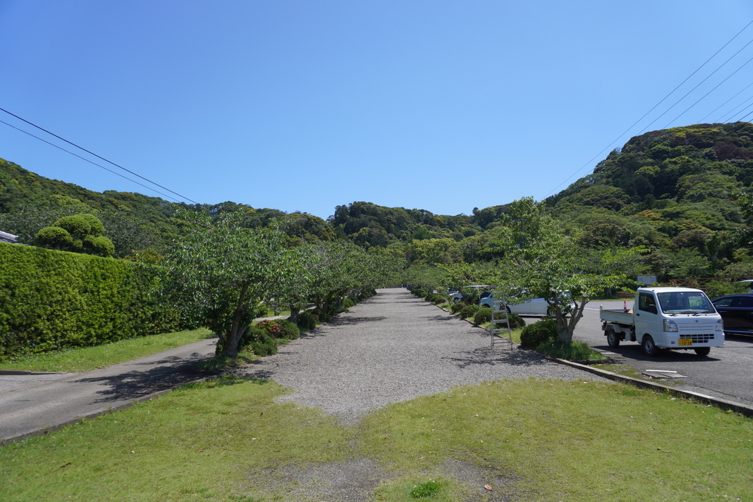 安房国一宮 安房神社（あわじんじゃ） | OLELOG